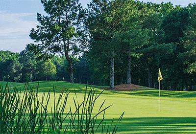 Home - RiverPines Golf