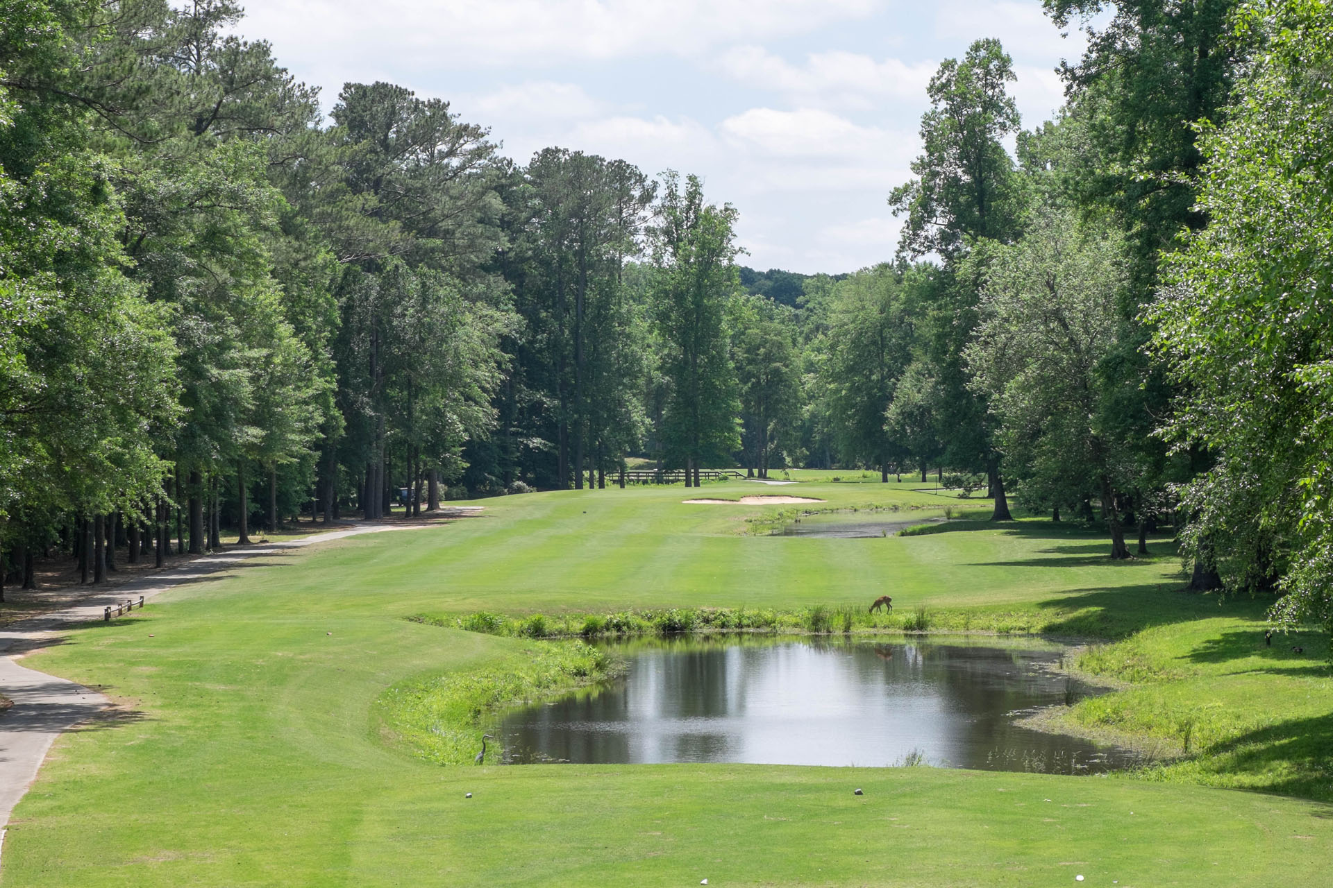 Course Tour - RiverPines Golf